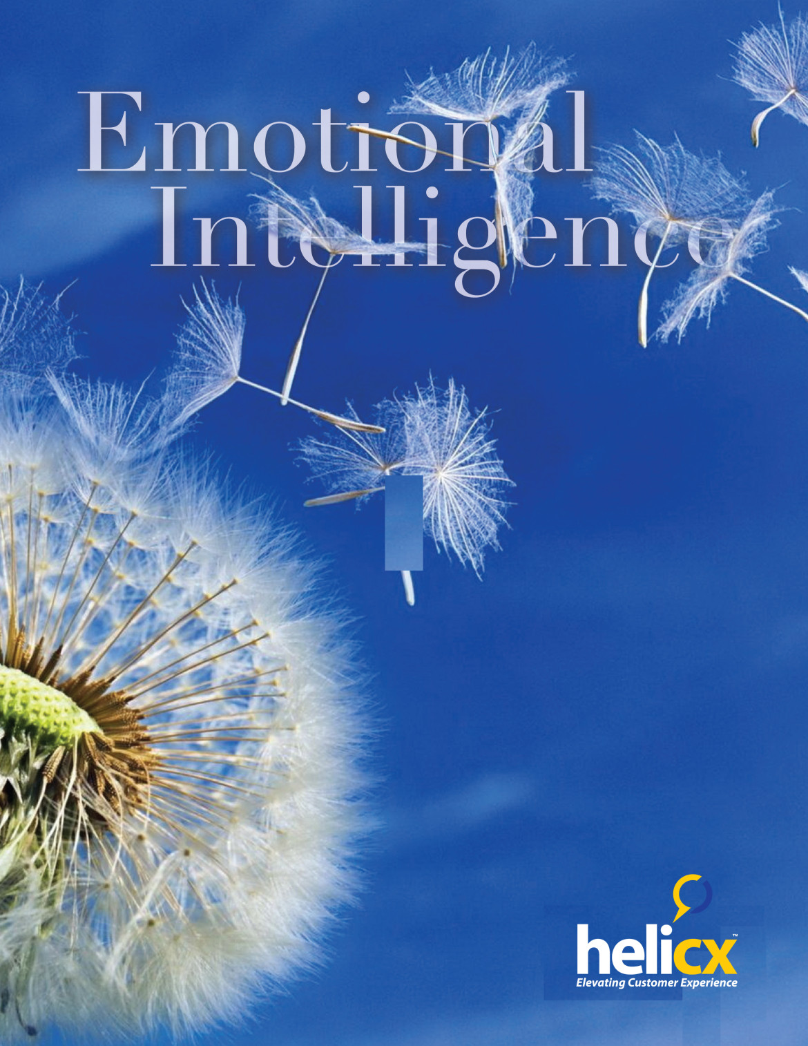 Emotional Intelligence In The Workplace Leadership Skills emotional-intelligence-in-the-workplace-leadership-skills